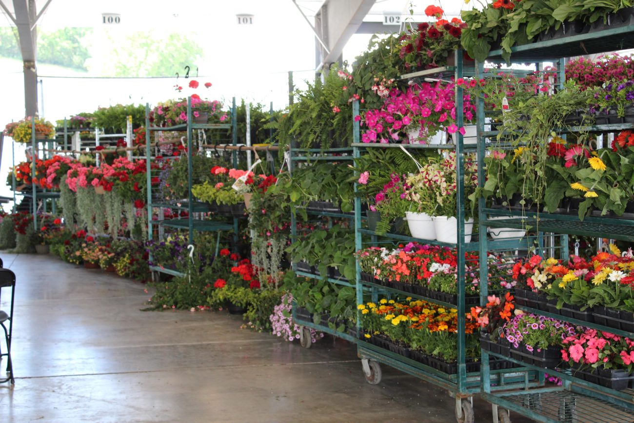 Union County Benefit Flower/Tool Auction & Rib Dinner - Clinic for ...